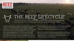 All About Beef