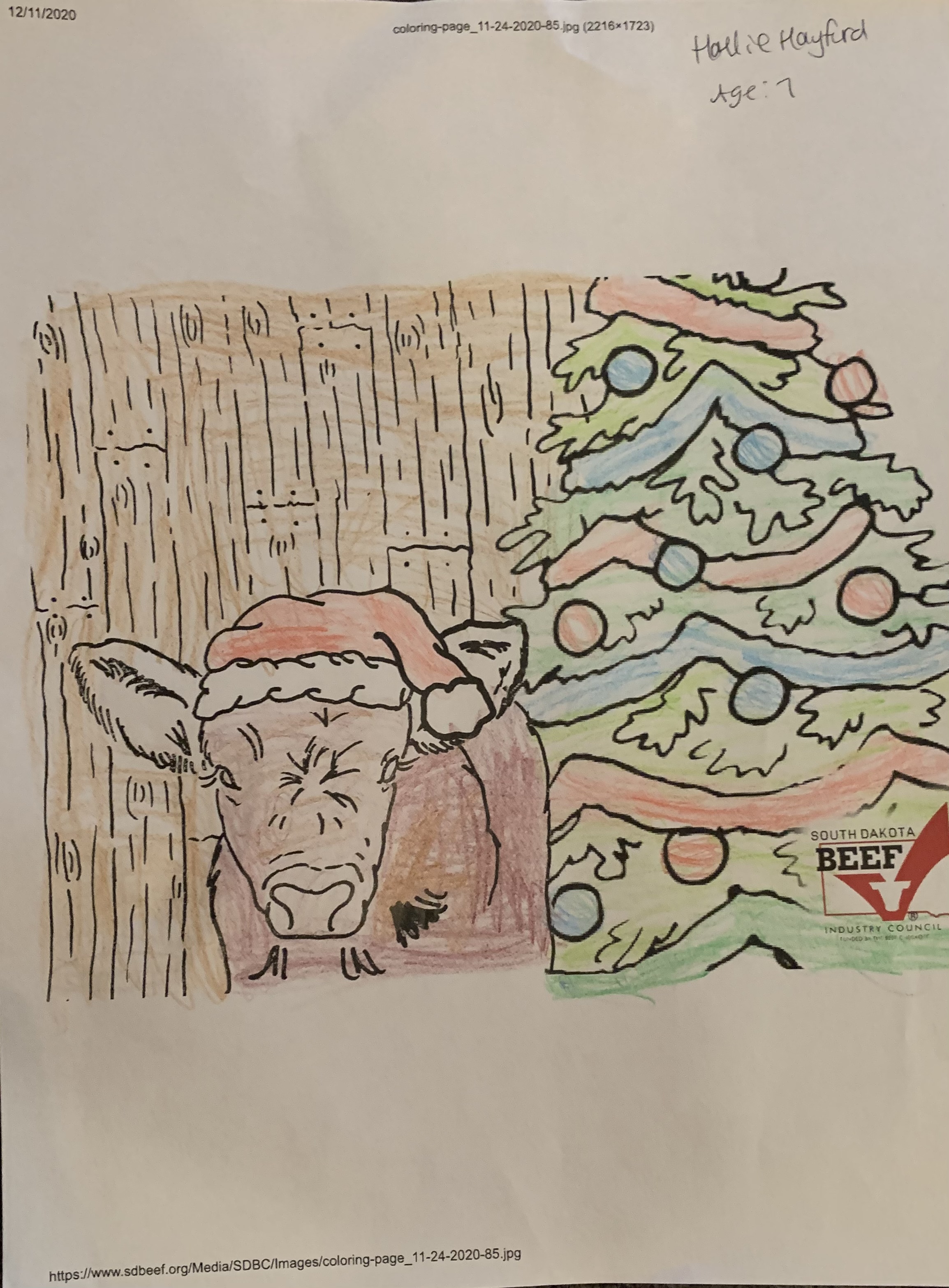 Holiday Coloring Contest